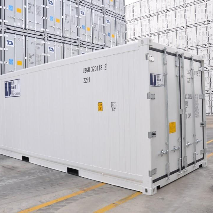 Custom Sizes Available 10ft 20ft 40ft Container Cold Room with Cold ...